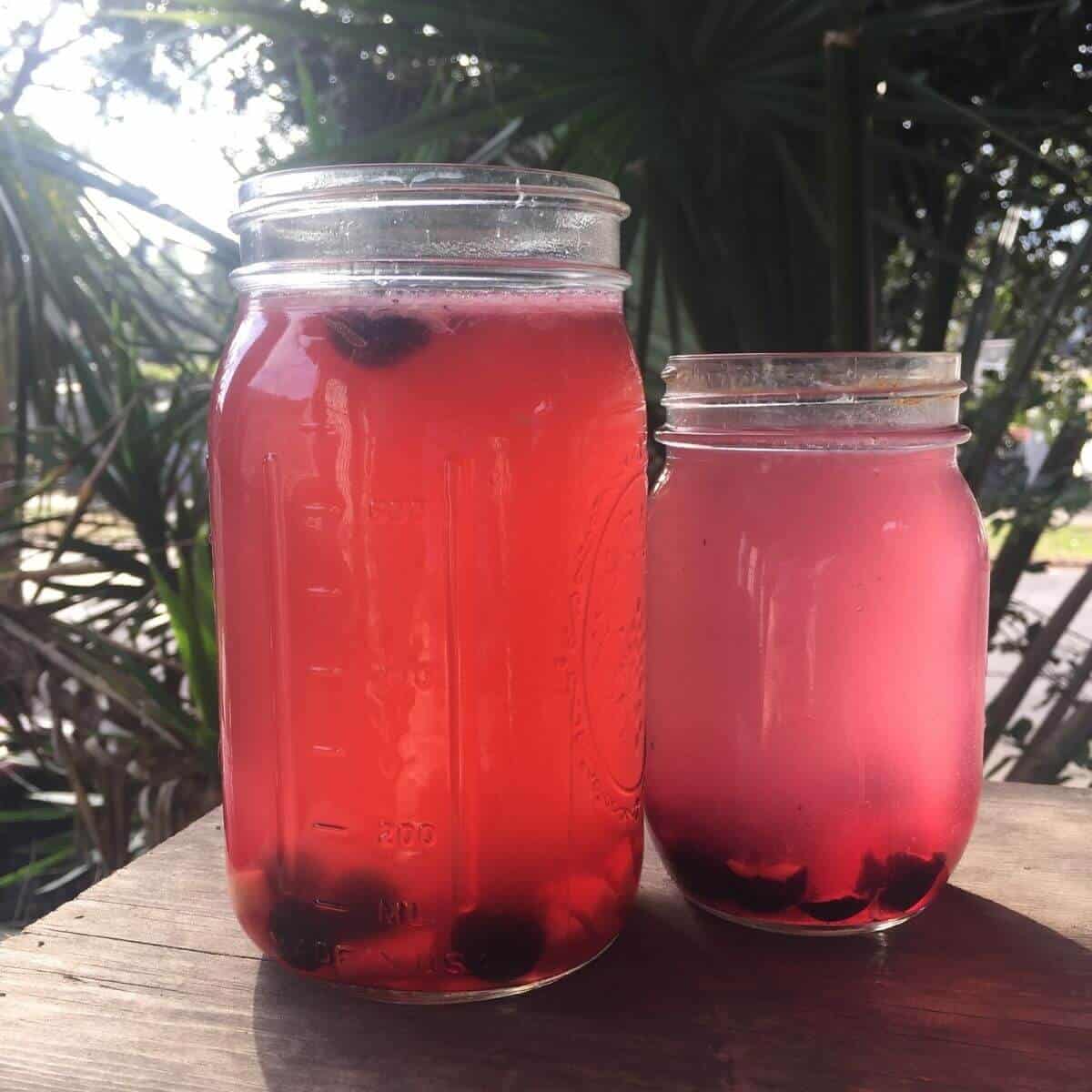 How to Meal Prep for the Week - Birth Eat Love