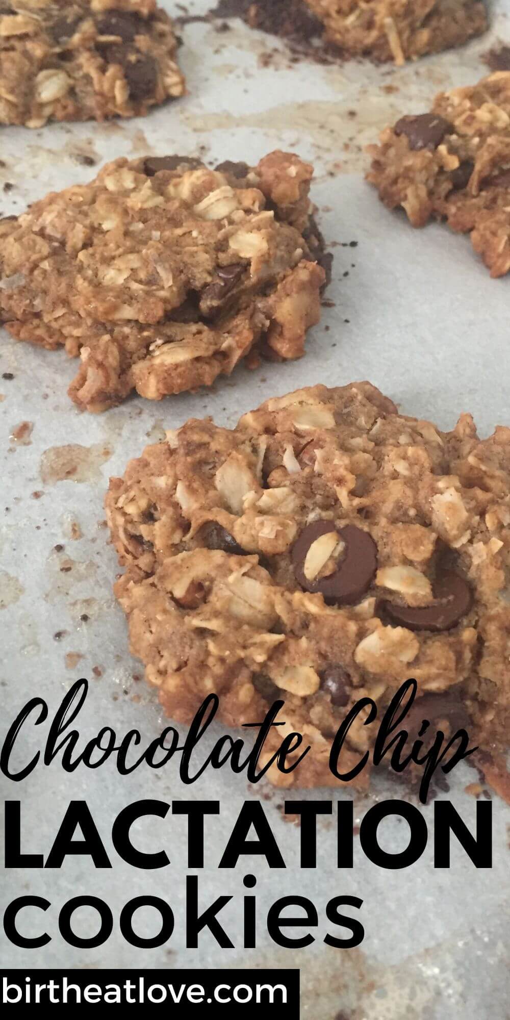 What Are Lactation Cookies (A Guide for Nursing Mamas) - Birth Eat Love