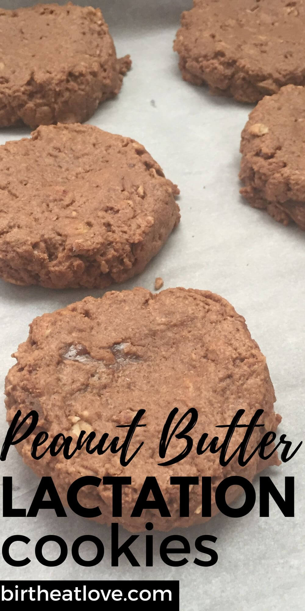 What Are Lactation Cookies (A Guide for Nursing Mamas) - Birth Eat Love