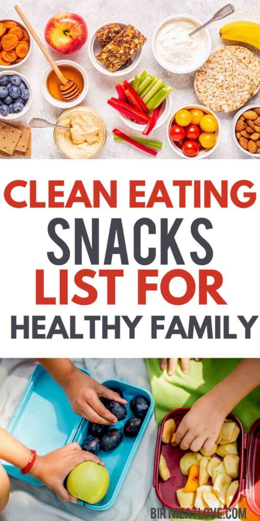 Clean Eating Snacks List - Ideas for a Healthy Family - Birth Eat Love